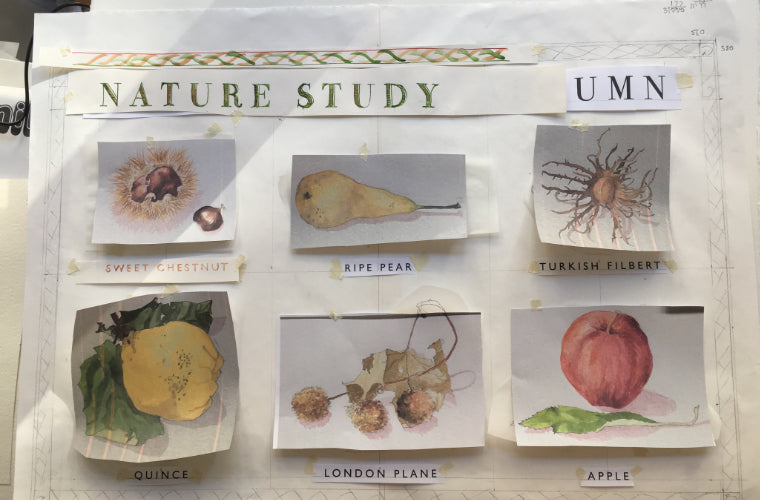 Nature Study - Starch Green