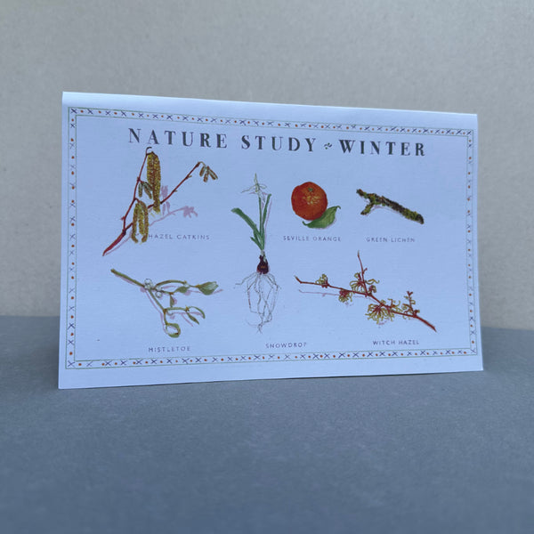 Nature Study - Winter Greetings Card - Starch Green
